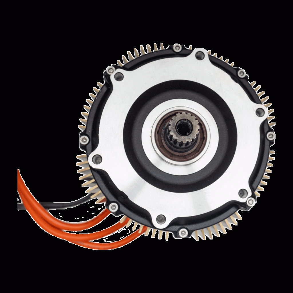 Storm Bee Motor Assembly – SURRON™ Canada