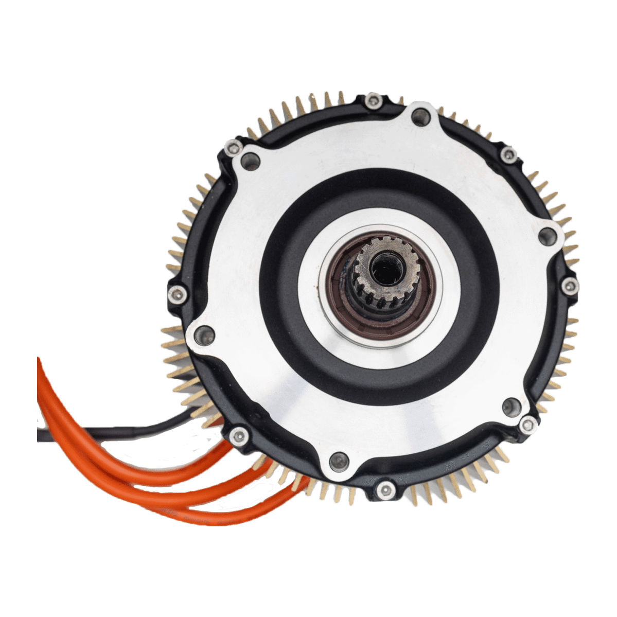 Storm Bee Motor Assembly – SURRON™ Canada