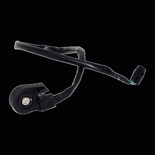 Ultra Bee Kickstand Switch – SURRON™ Canada