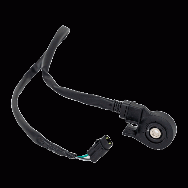 Ultra Bee Kickstand Switch – SURRON™ Canada